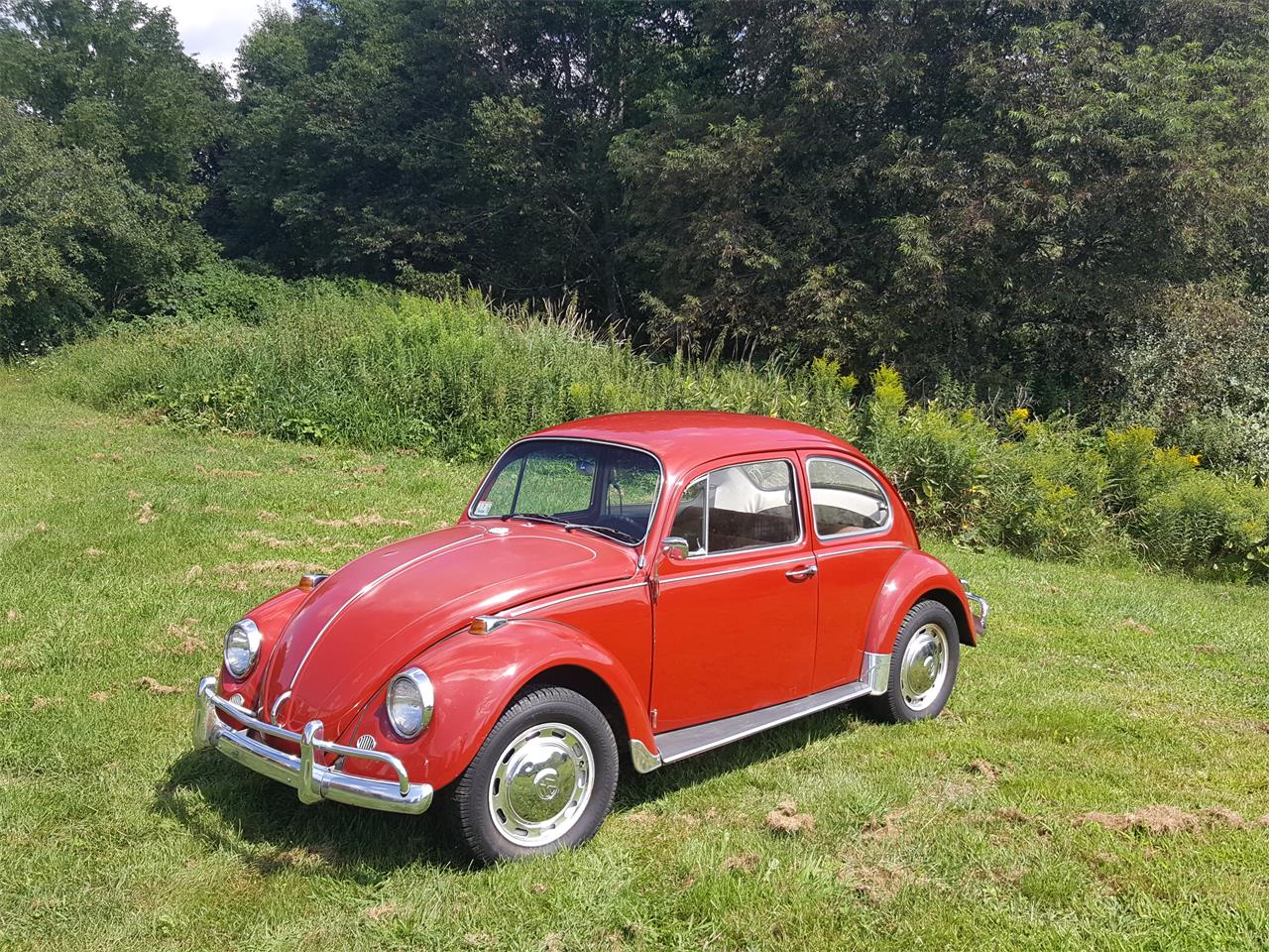 1967 Volkswagen Beetle for Sale | ClassicCars.com | CC-1011950