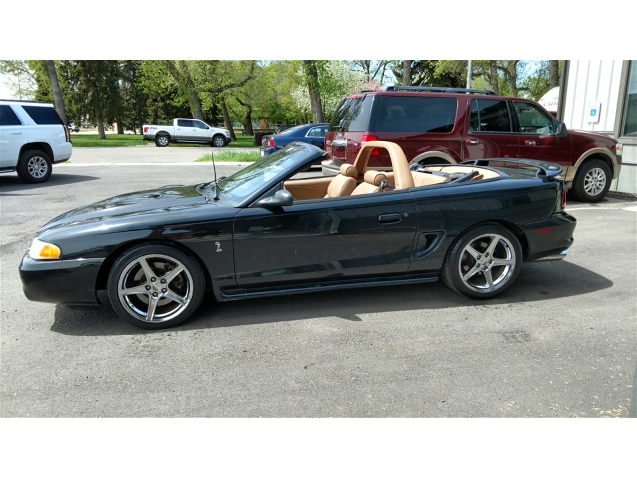 1997 Ford Mustang SVT Cobra for Sale | ClassicCars.com | CC-1091947