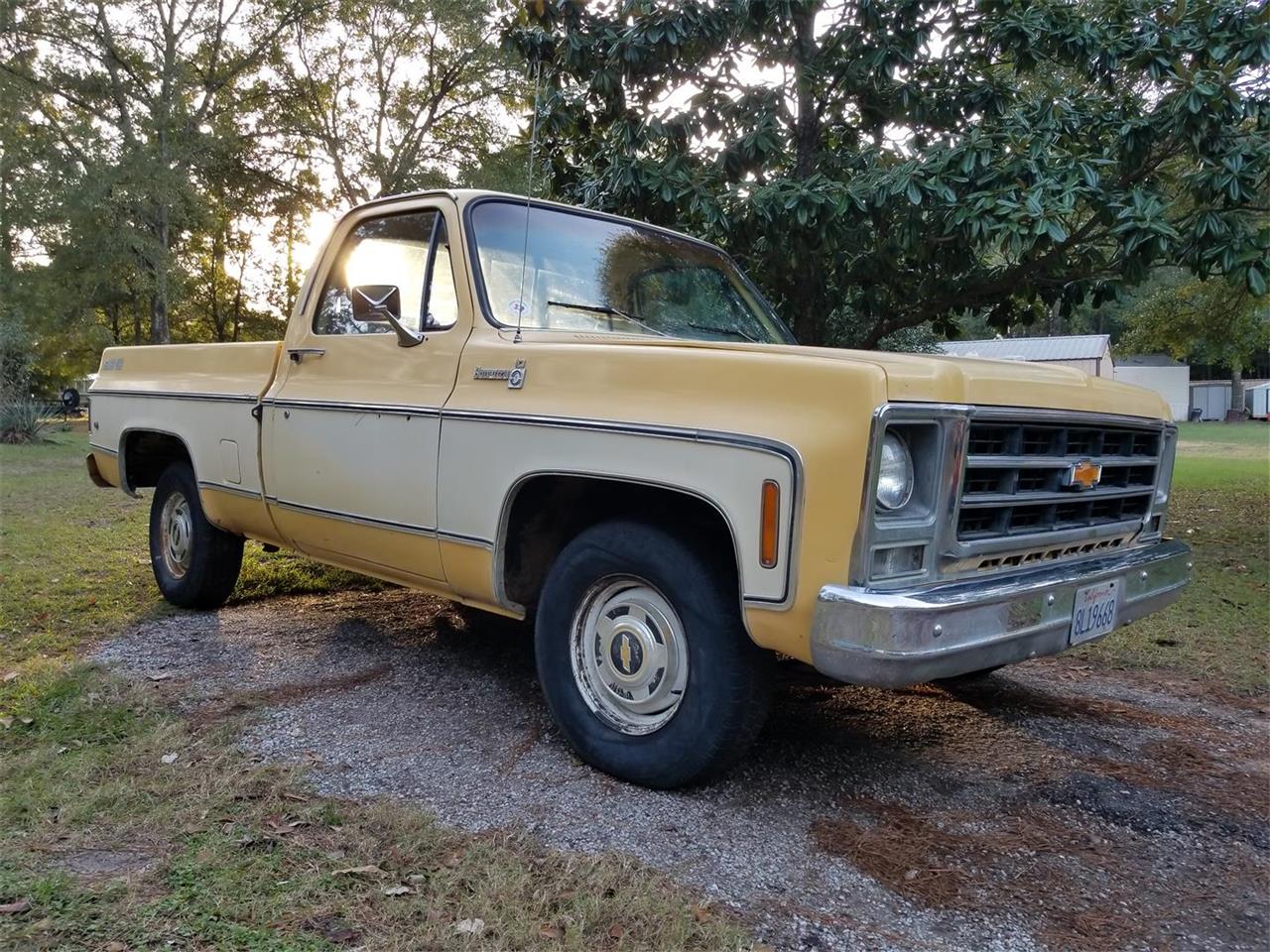 1979 Chevrolet C10 for Sale | ClassicCars.com | CC-1097231