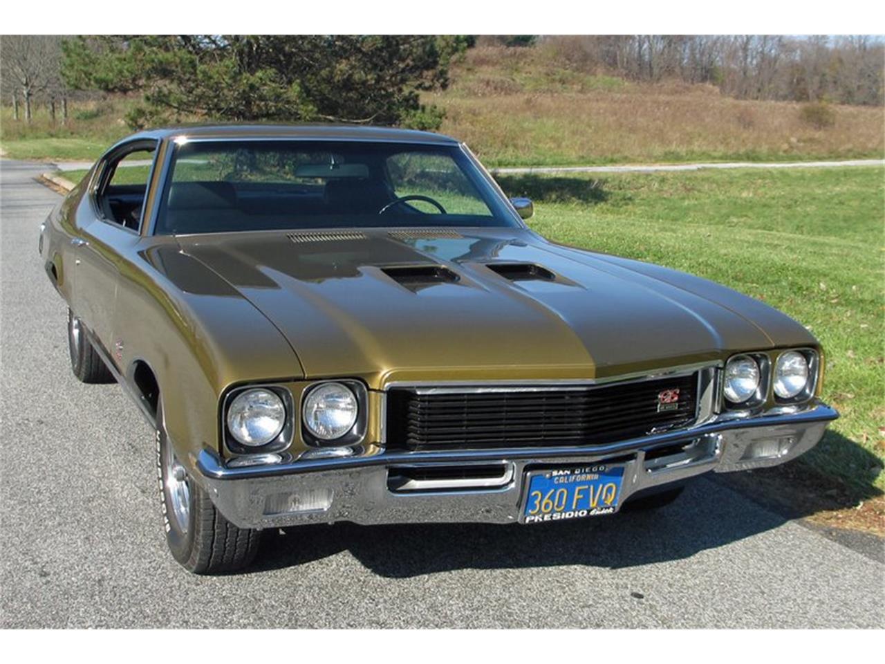 1972 Buick Skylark For Sale