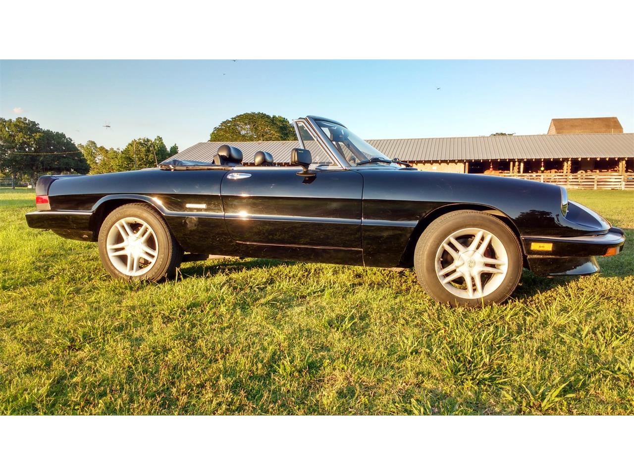 1990 Alfa Romeo Spider for Sale | ClassicCars.com | CC-1224828