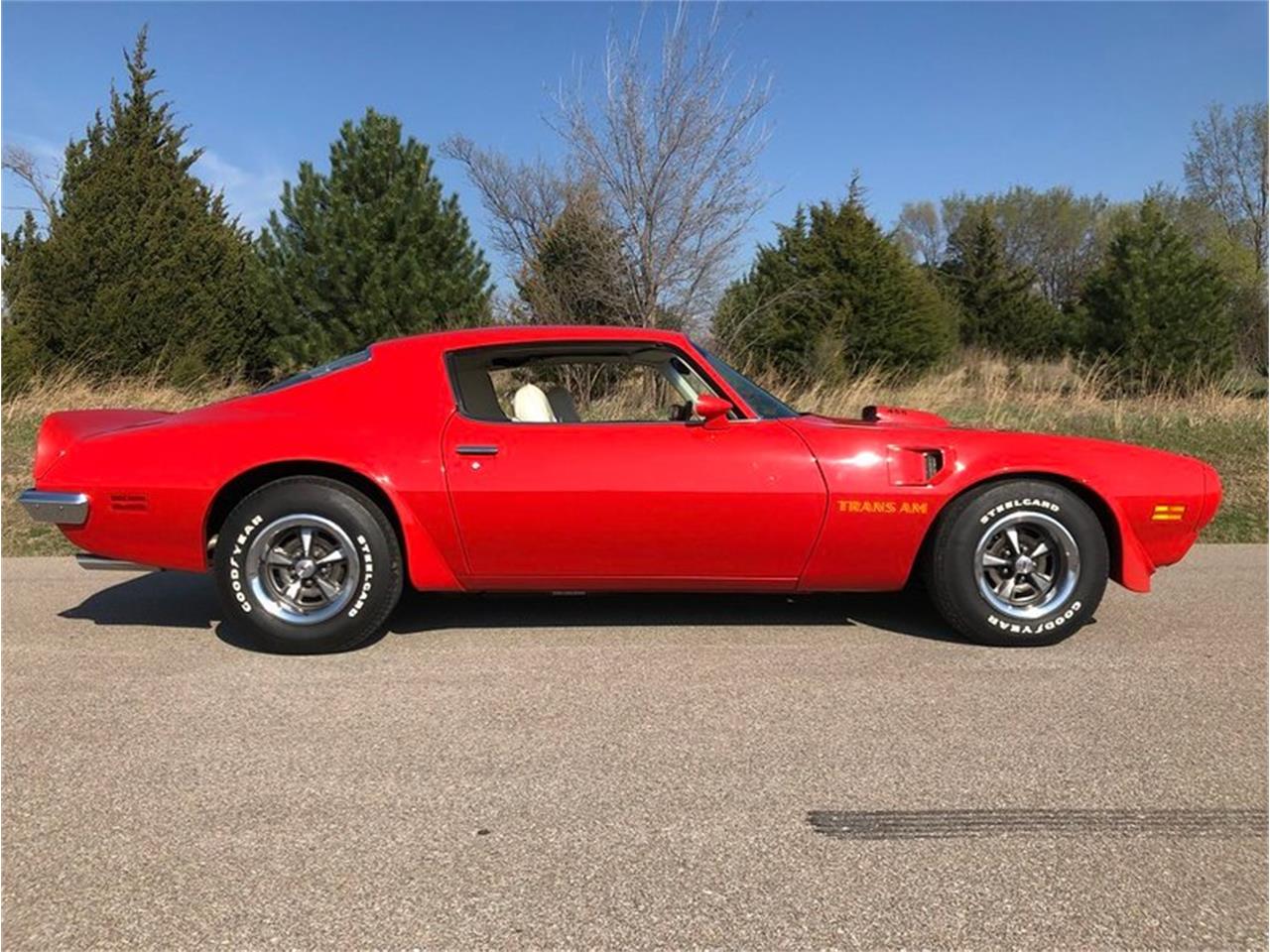 1973 Pontiac Firebird Trans Am for Sale | ClassicCars.com | CC-1230276