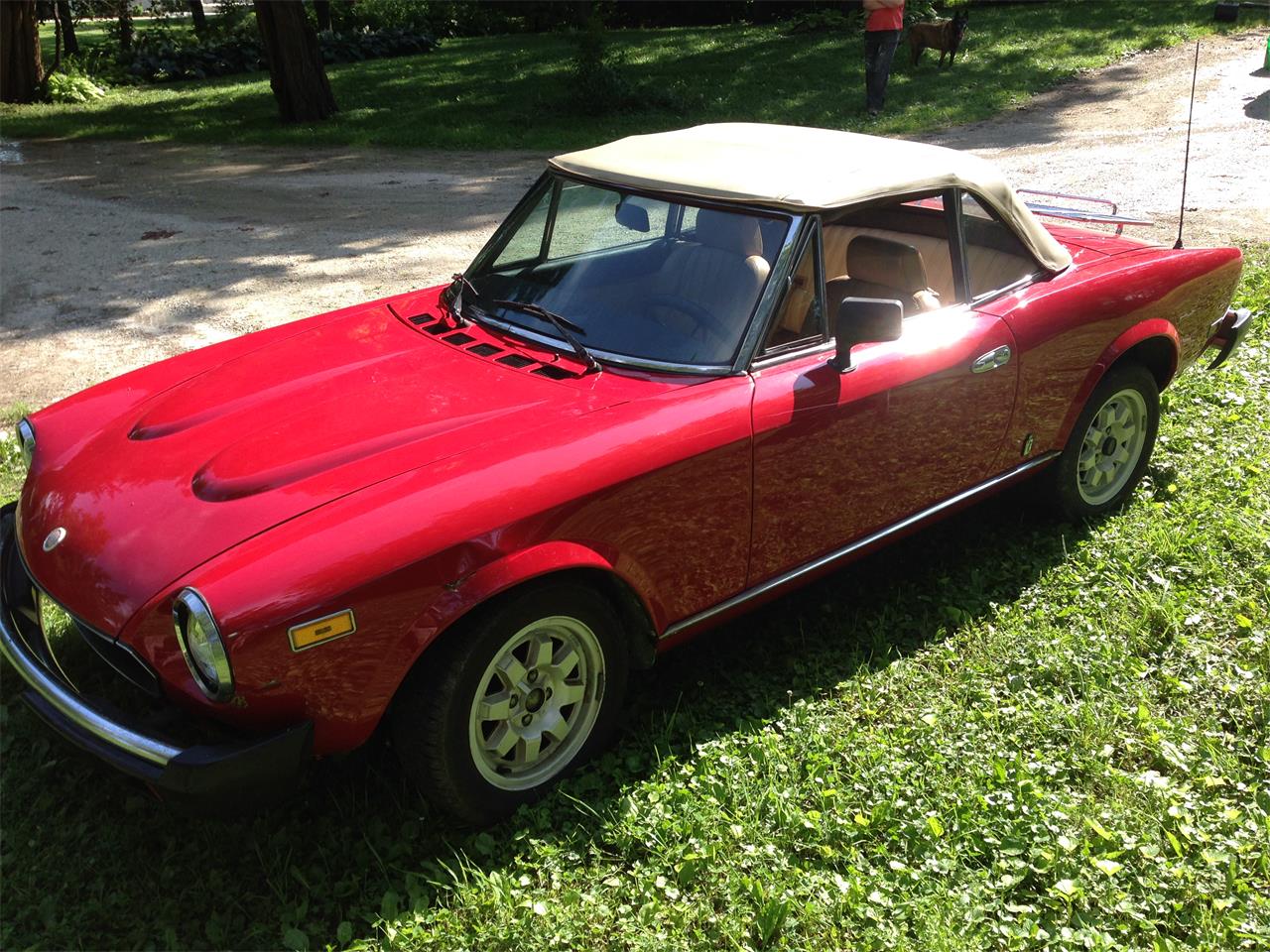 1981 Fiat 2000 Spider for Sale | ClassicCars.com | CC-696872
