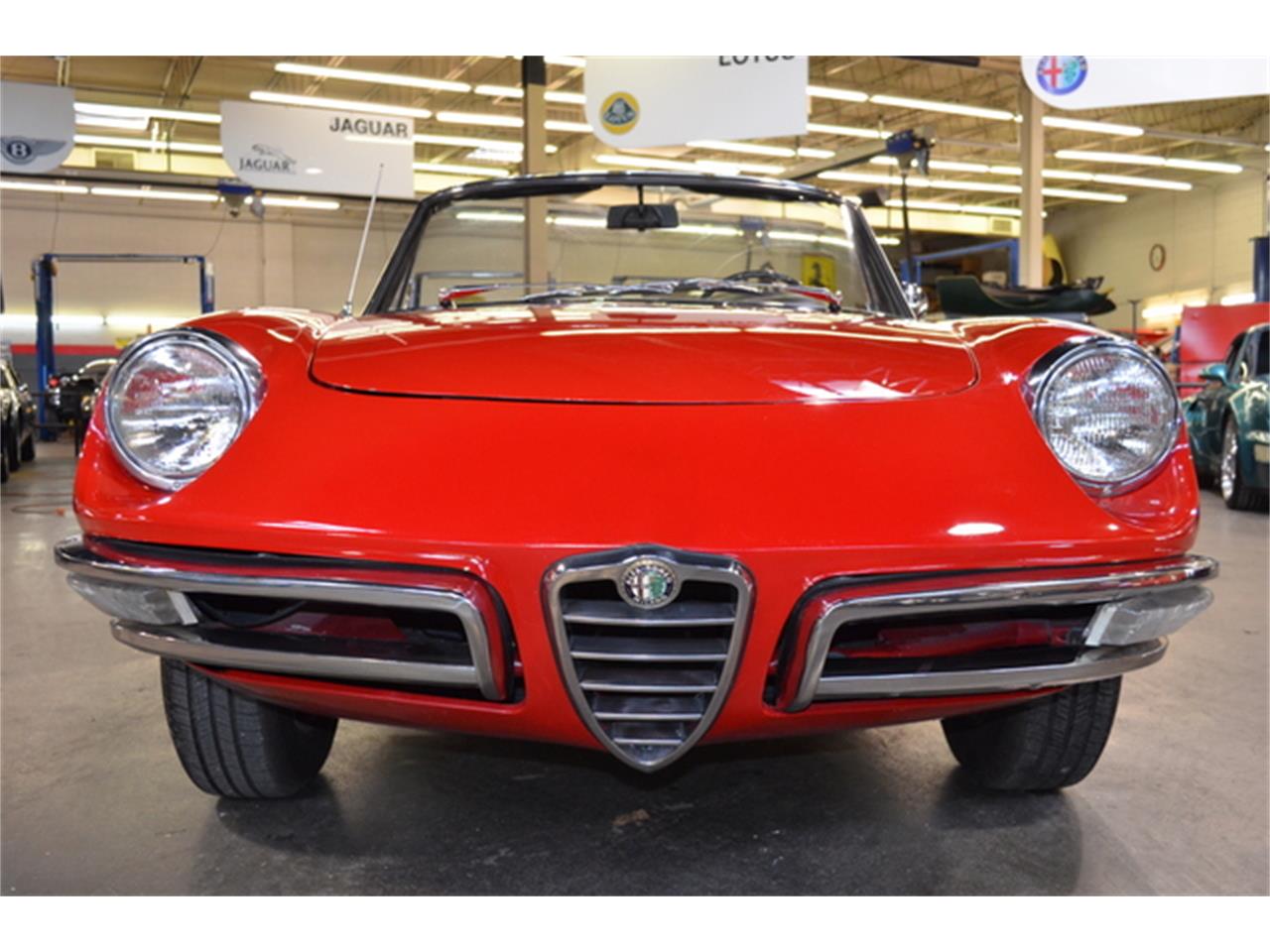 1967 Alfa Romeo Duetto 1600 Spider for Sale | ClassicCars.com | CC-967598