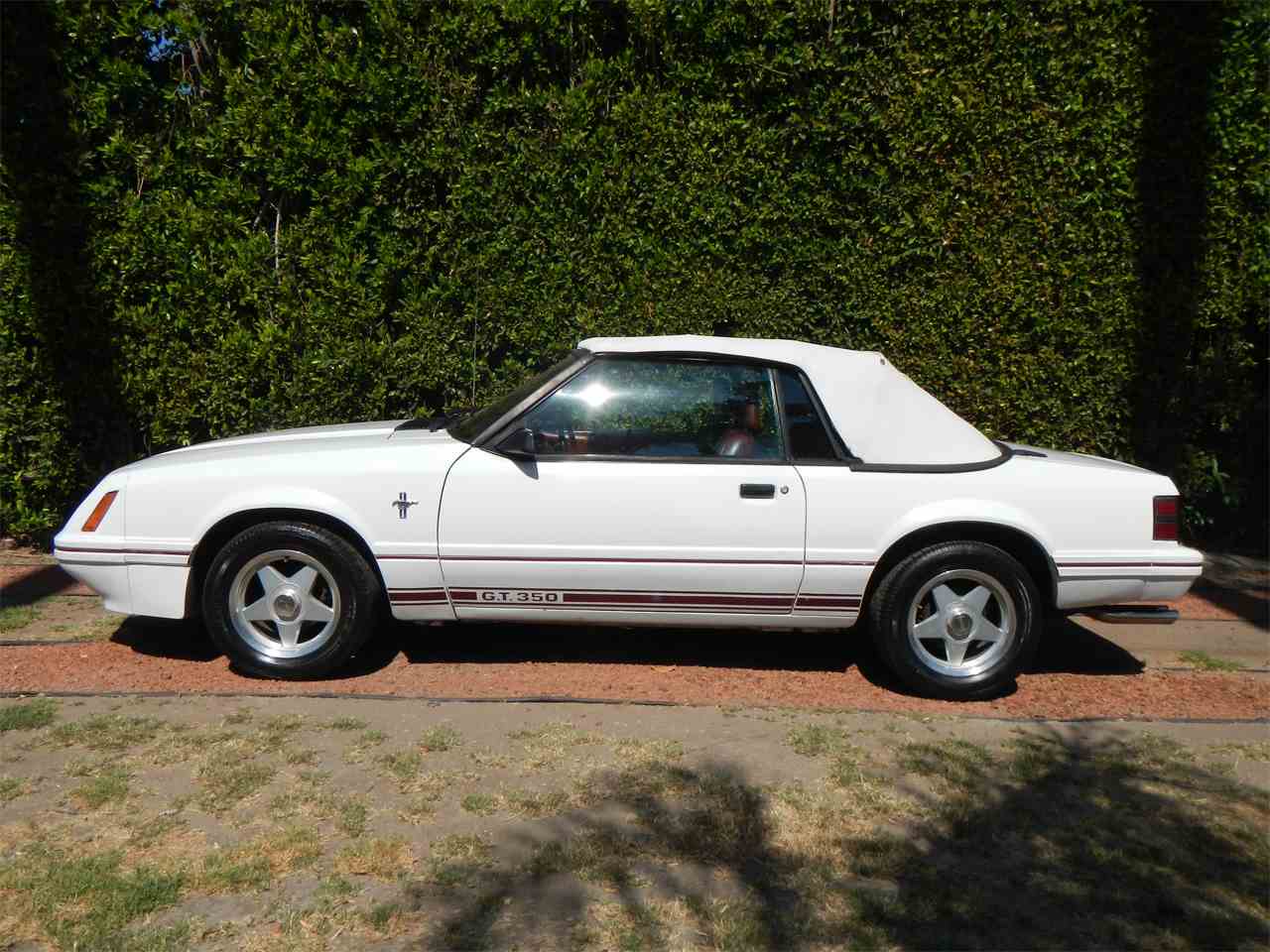 1984 Ford Mustang GT350 for Sale | ClassicCars.com | CC-998467