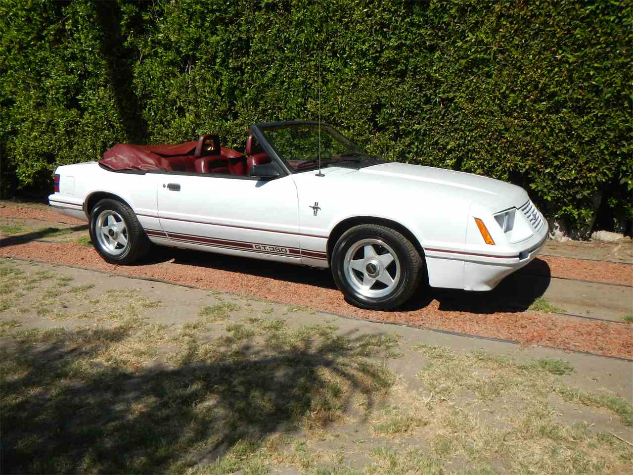 1984 Ford Mustang GT350 for Sale | ClassicCars.com | CC-998467